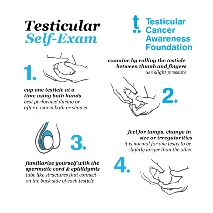 How to Assess Your Testicles? - Phoenix Men's Health Center